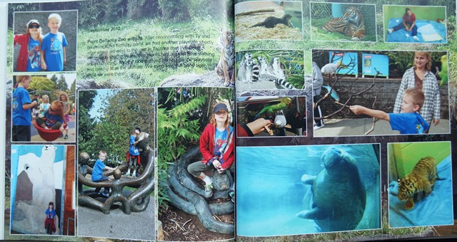 Creating a photo book with your Windows Phone | Windows Experience Blog